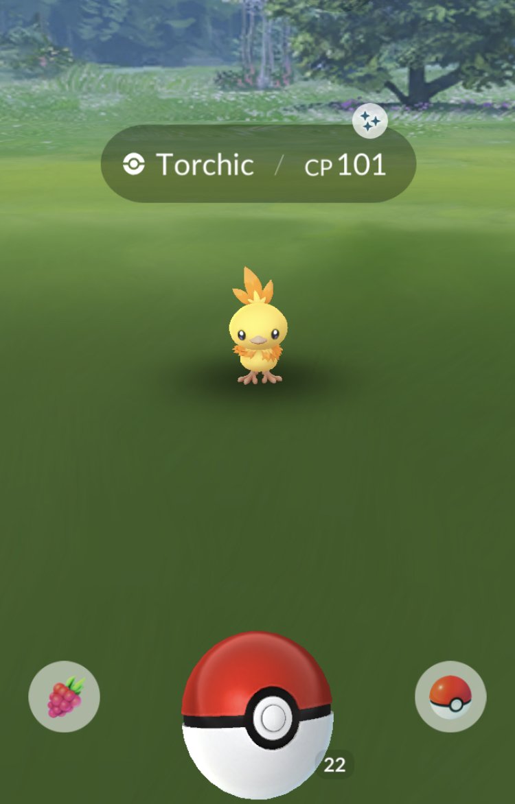 Shiny Torchic