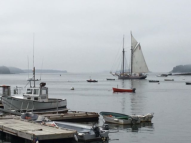 Schooner Lewis R. French - Maine Sailing Vacations & Windjammer Cruises ...