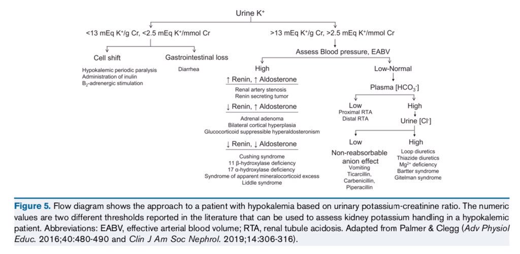 Urine Potassium