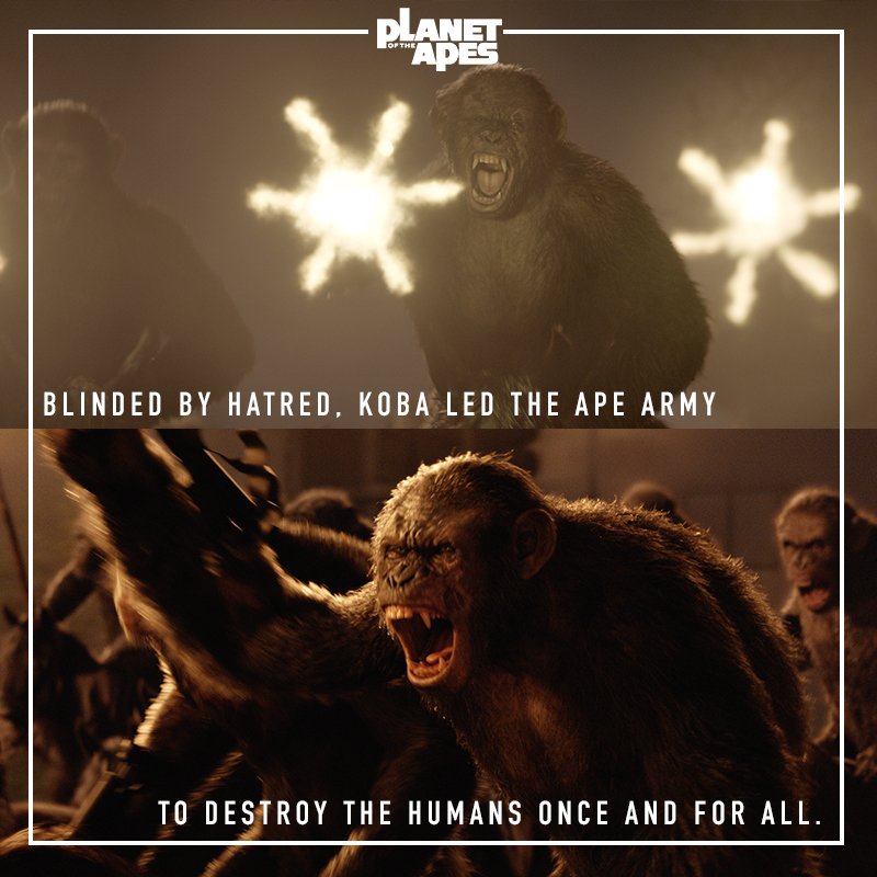 Koba Planet Of The Apes Wiki