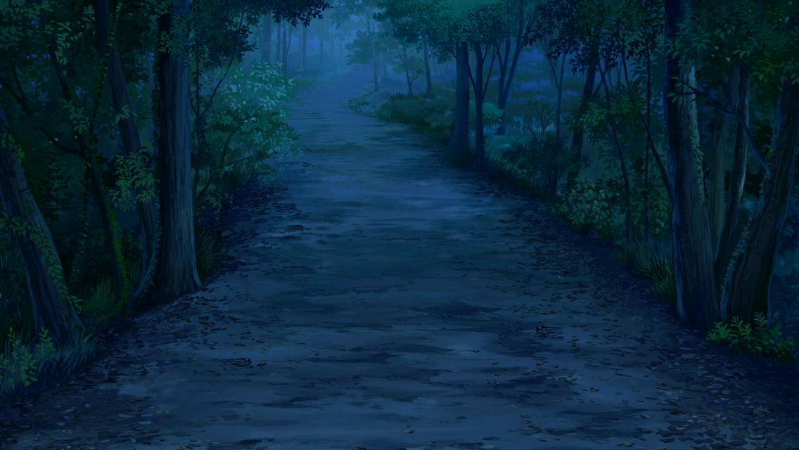 Forest Path Night