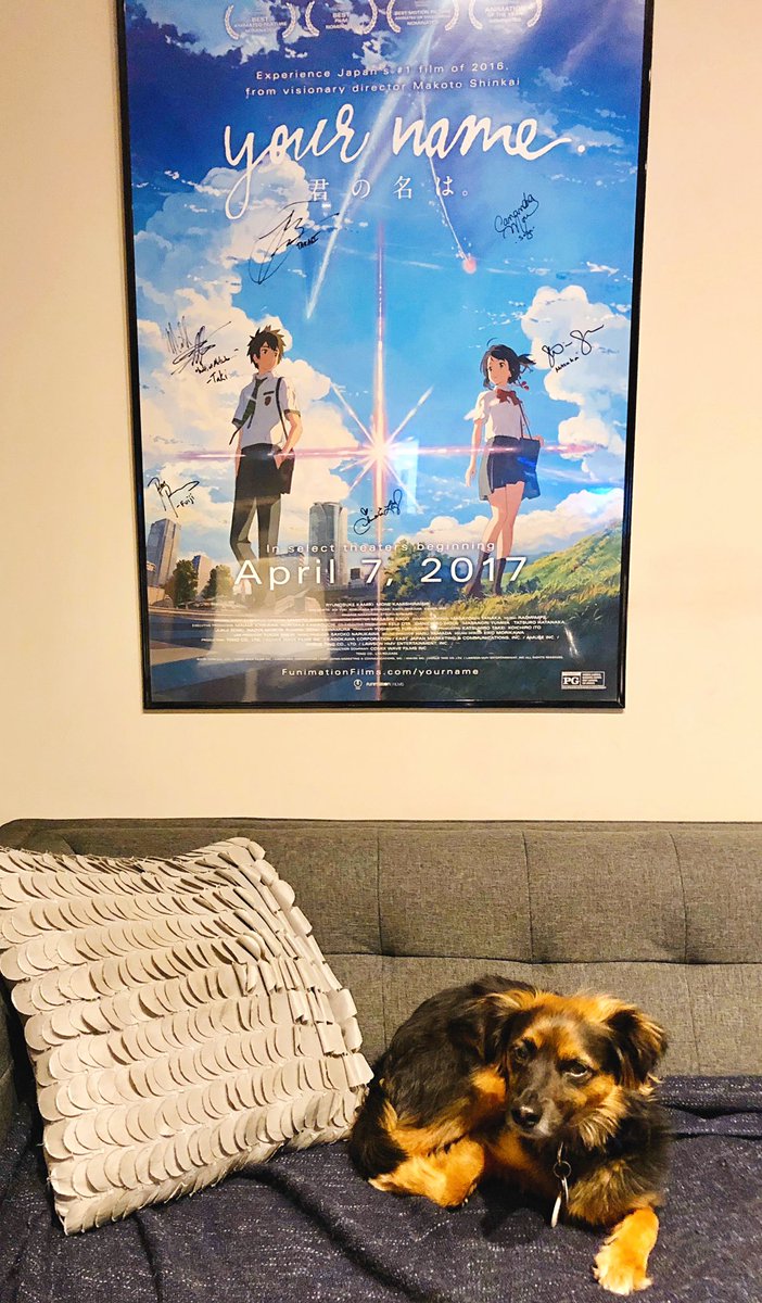 Your name english dub poster - amberstart