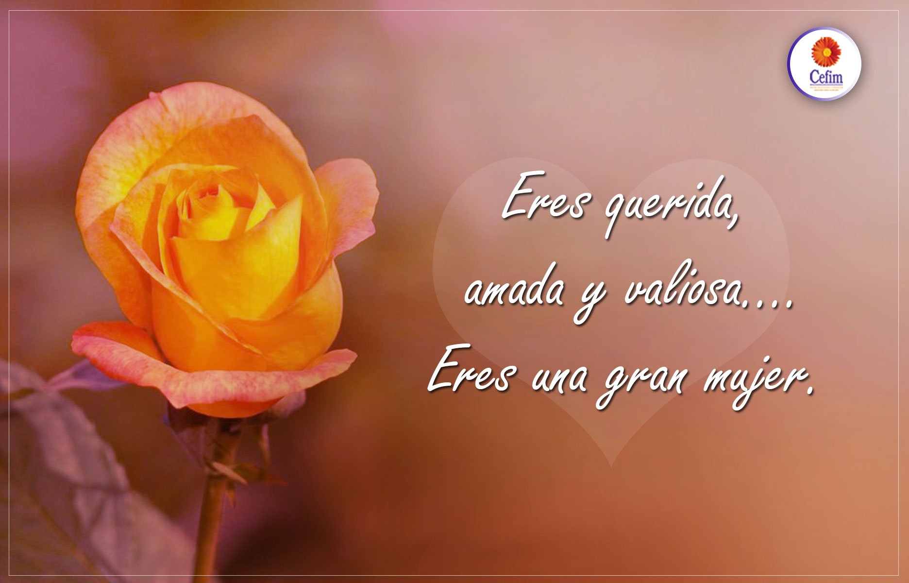 Postales De Eres Una Gran Mujer