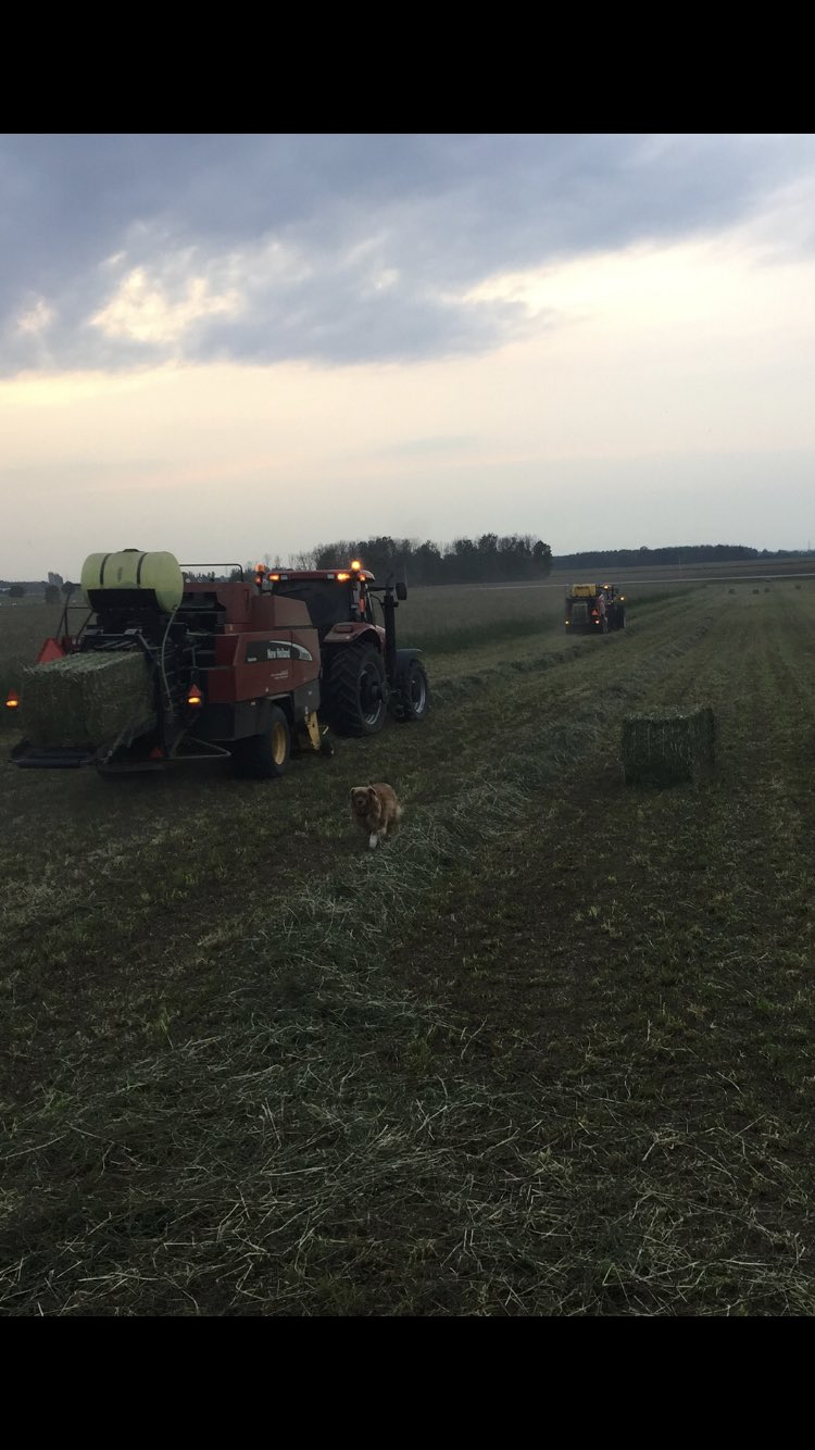 Adam Witmer on Twitter: "Nothing like ending the day off with the two balers in same field ...