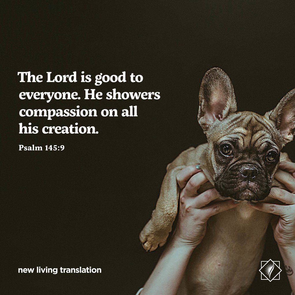 Bible Quotes For Dogs 35 Bible Verses About Animals In Heaven