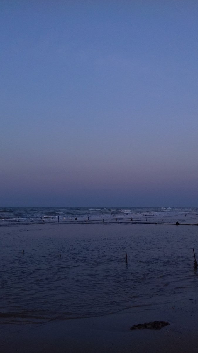 NUM (@are_numm) | Twitter