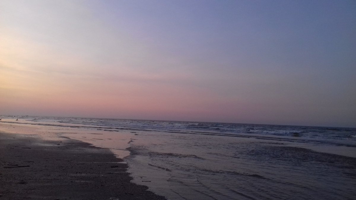 NUM (@are_numm) | Twitter