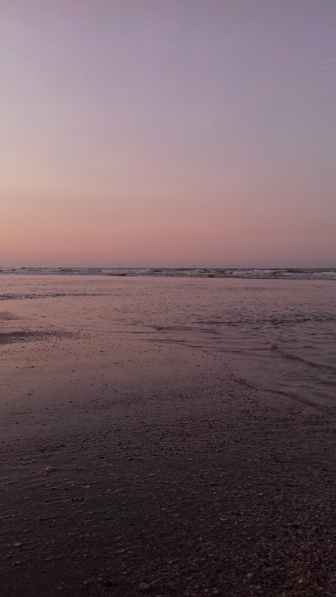 NUM (@are_numm) | Twitter