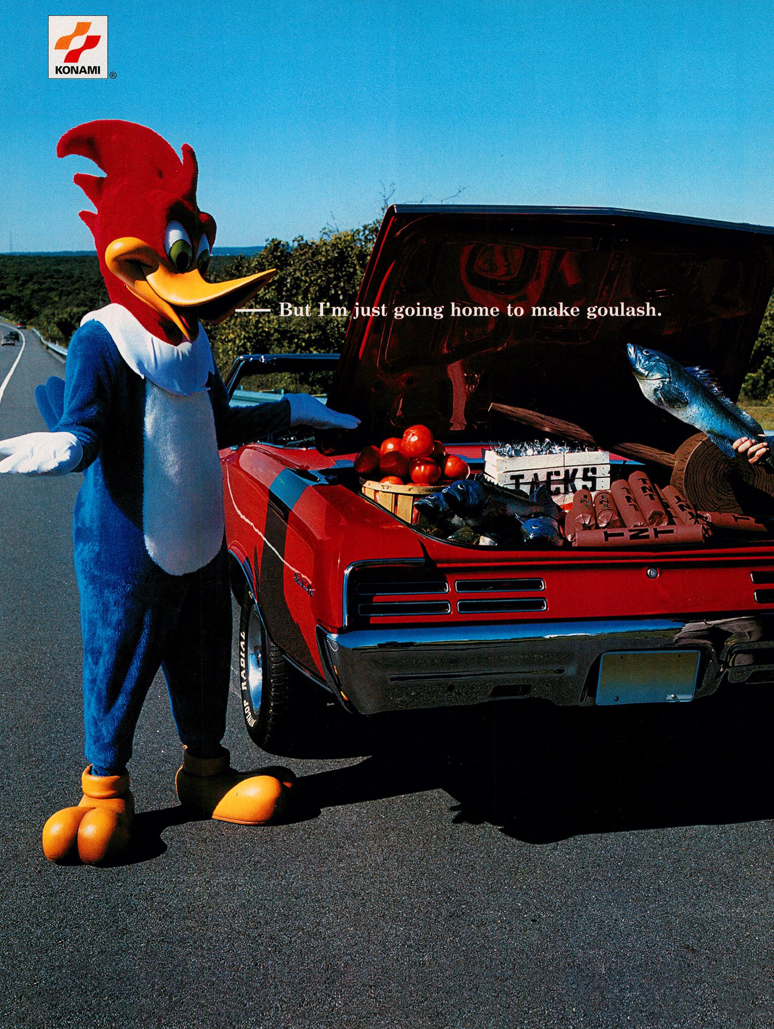 Woody Woodpecker Racing