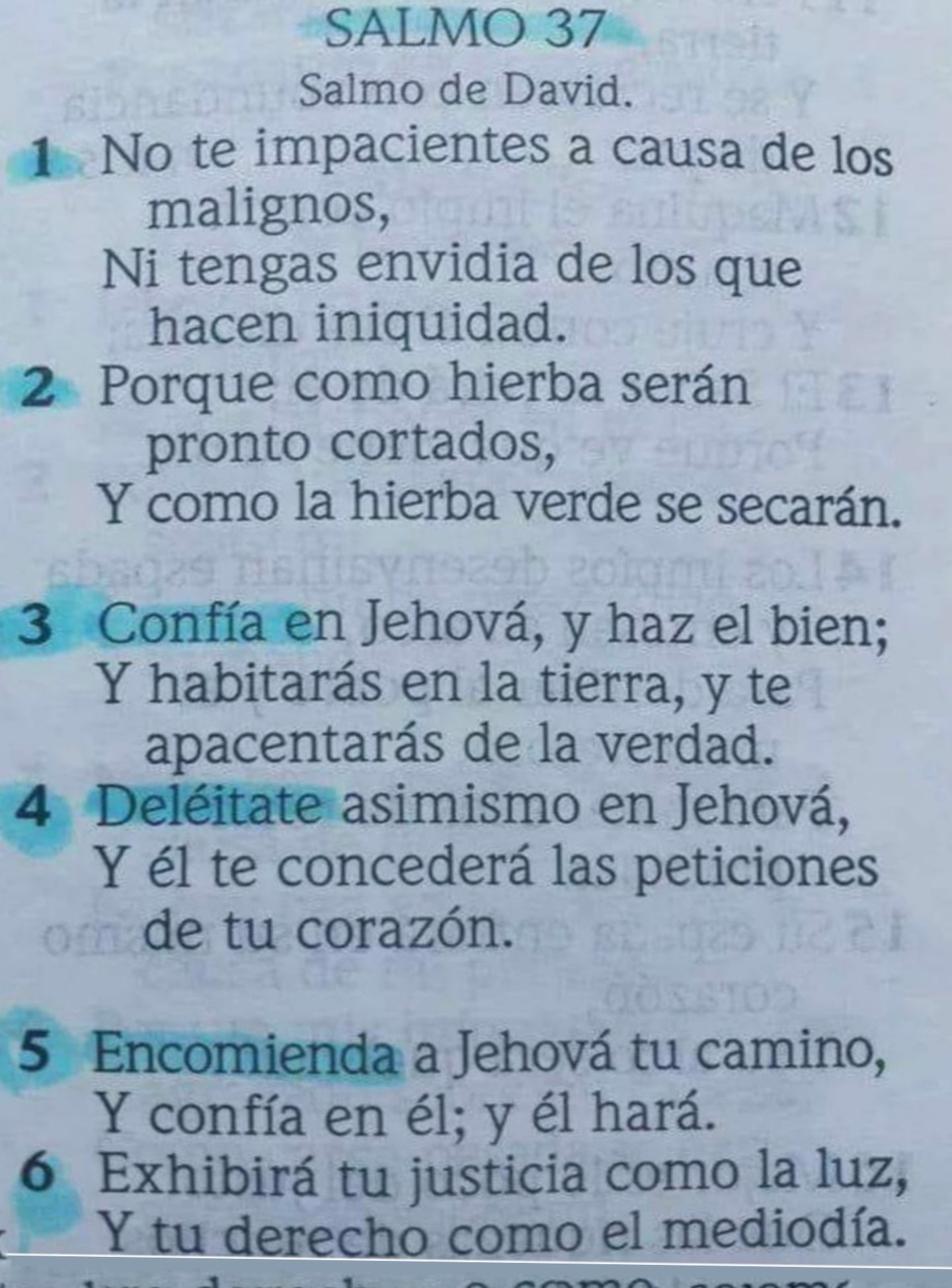 Introducir 31 Imagen Frases De La Envidia En La Biblia Abzlocal Mx