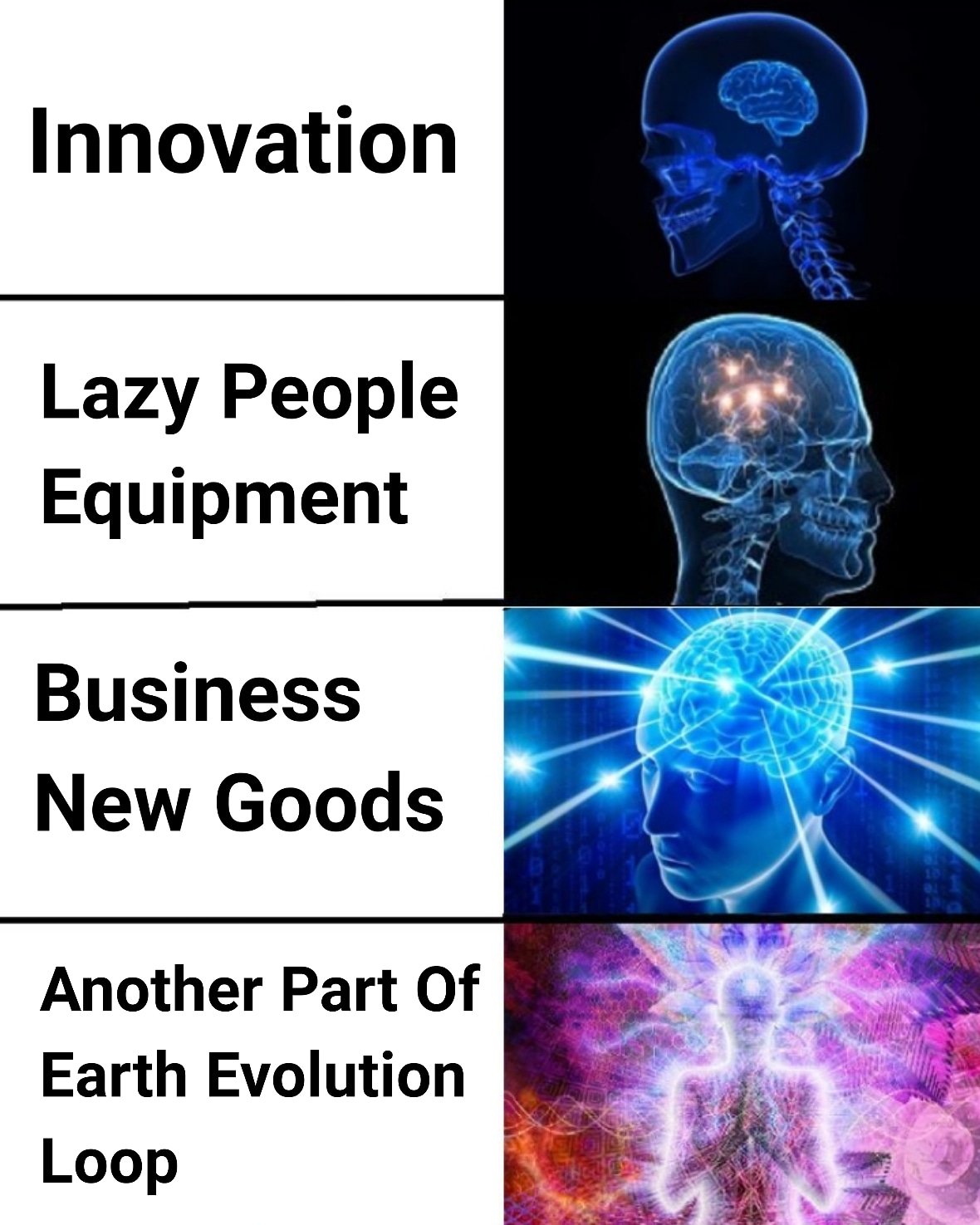 Memes Evolucion Cerebro