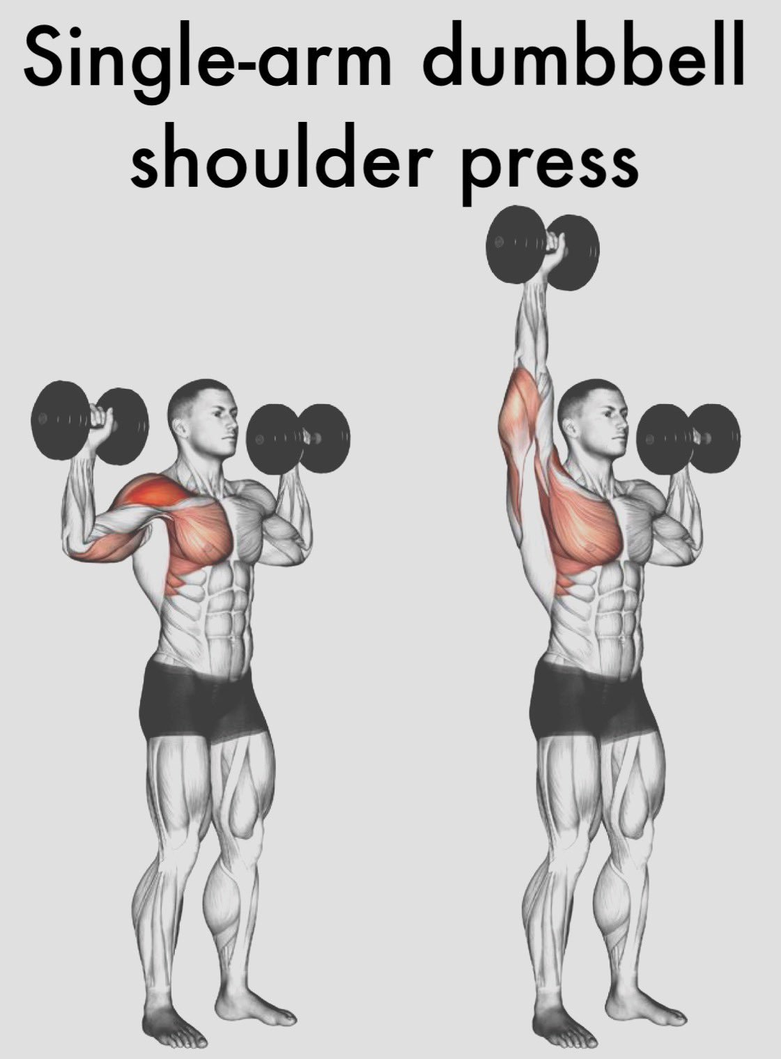 Single Arm Dumbbell Shoulder Press