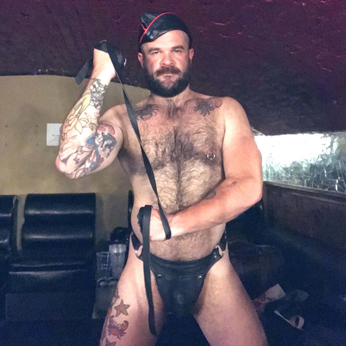 Dave The Bear Phnix