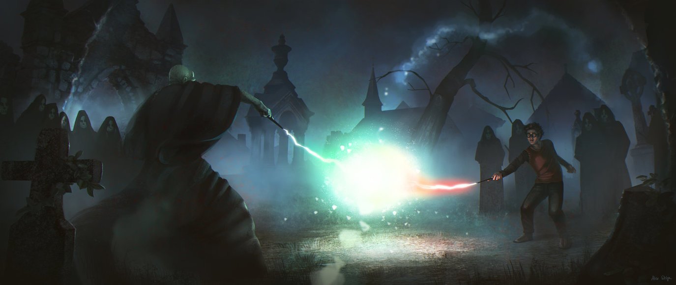 Harry Potter Voldemort Fight