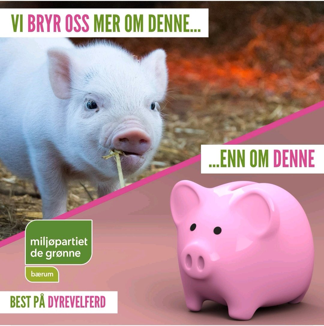 Axel Klanderud (@AxelKlanderud) | Twitter