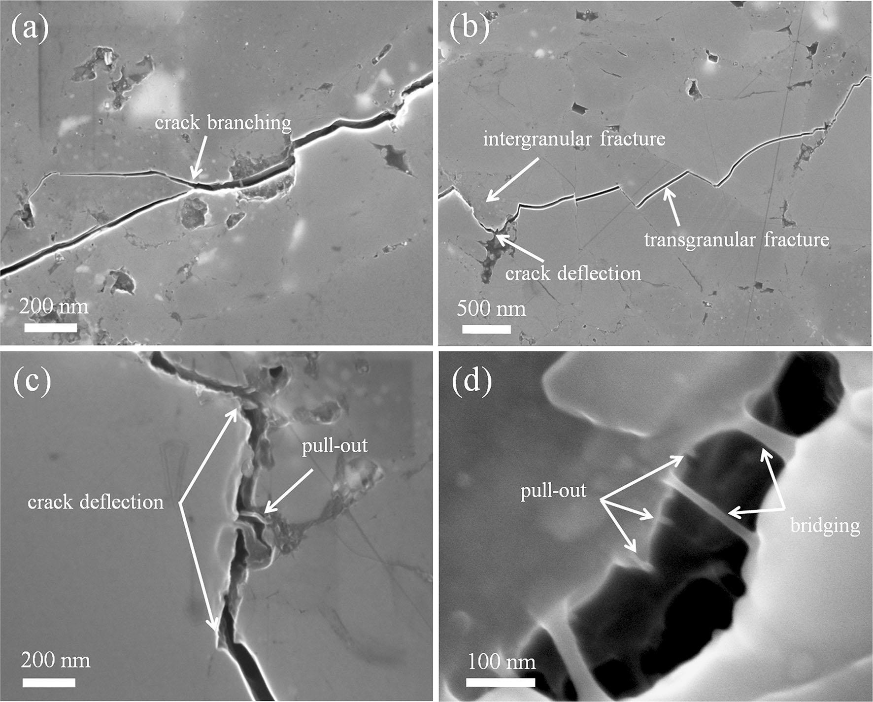 Journal Of Materials Science On Twitter August Editorspick