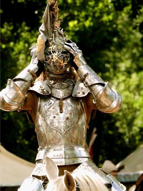 Ser Loras Armor