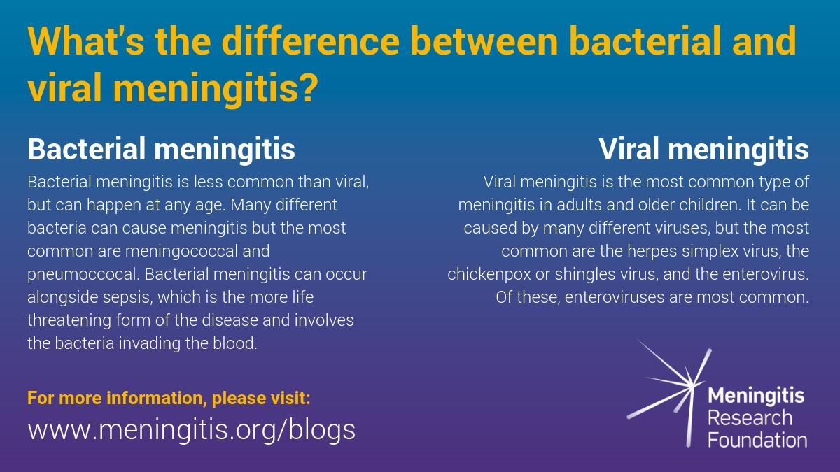 Viral Meningitis Virus TRUPCR® Viral Meningitis Panel Kit | Order