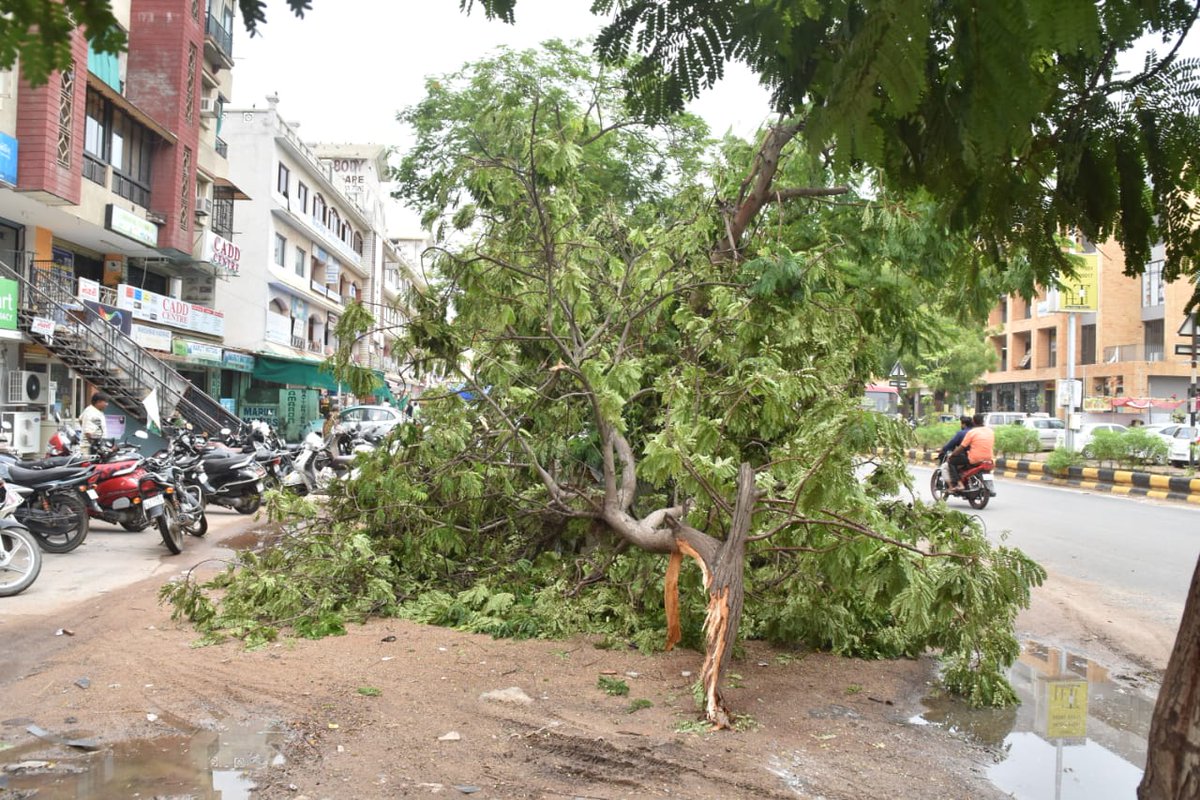 66 talukas of 19 districts see rain in last 24 hours, Kathlal maximum ...