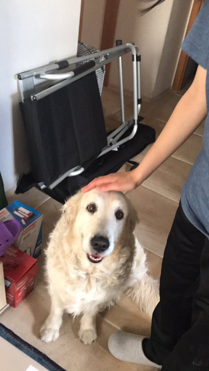 サニーさんとレオくん (@sunnie_leo) | Twitter