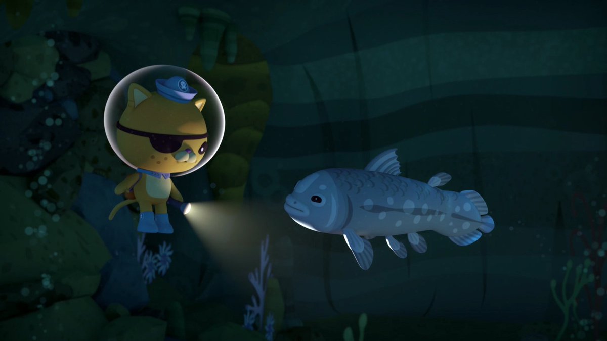 Coelacanth: Latest news, Breaking headlines and Top stories, photos ...