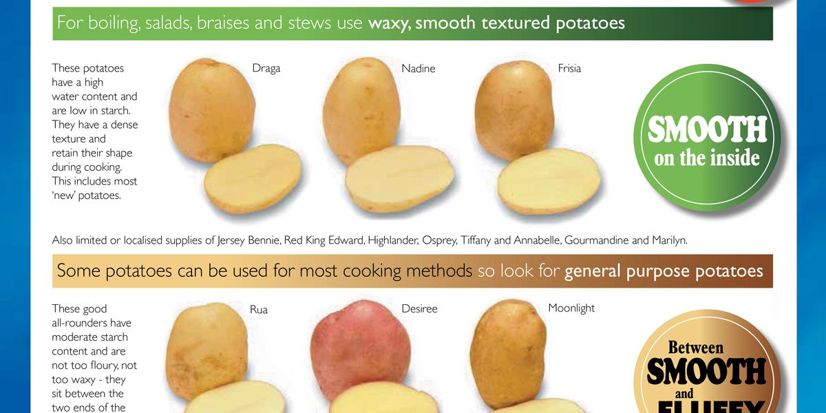Types Of Potato Names at Maya Hurley blog