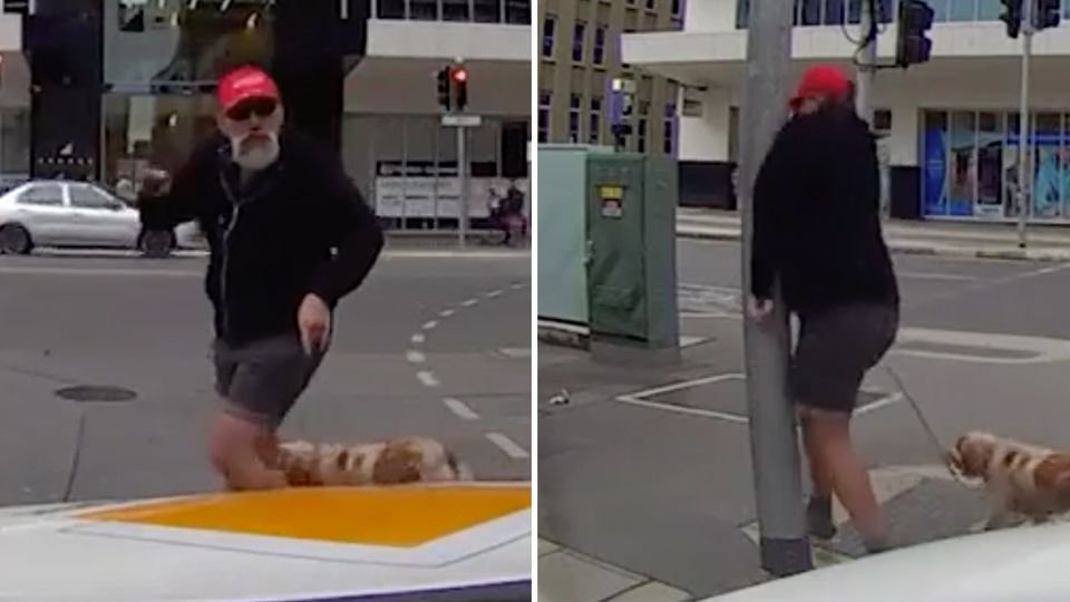 Footage of a ranting Adelaide pedestrian running into a light pole had ...
