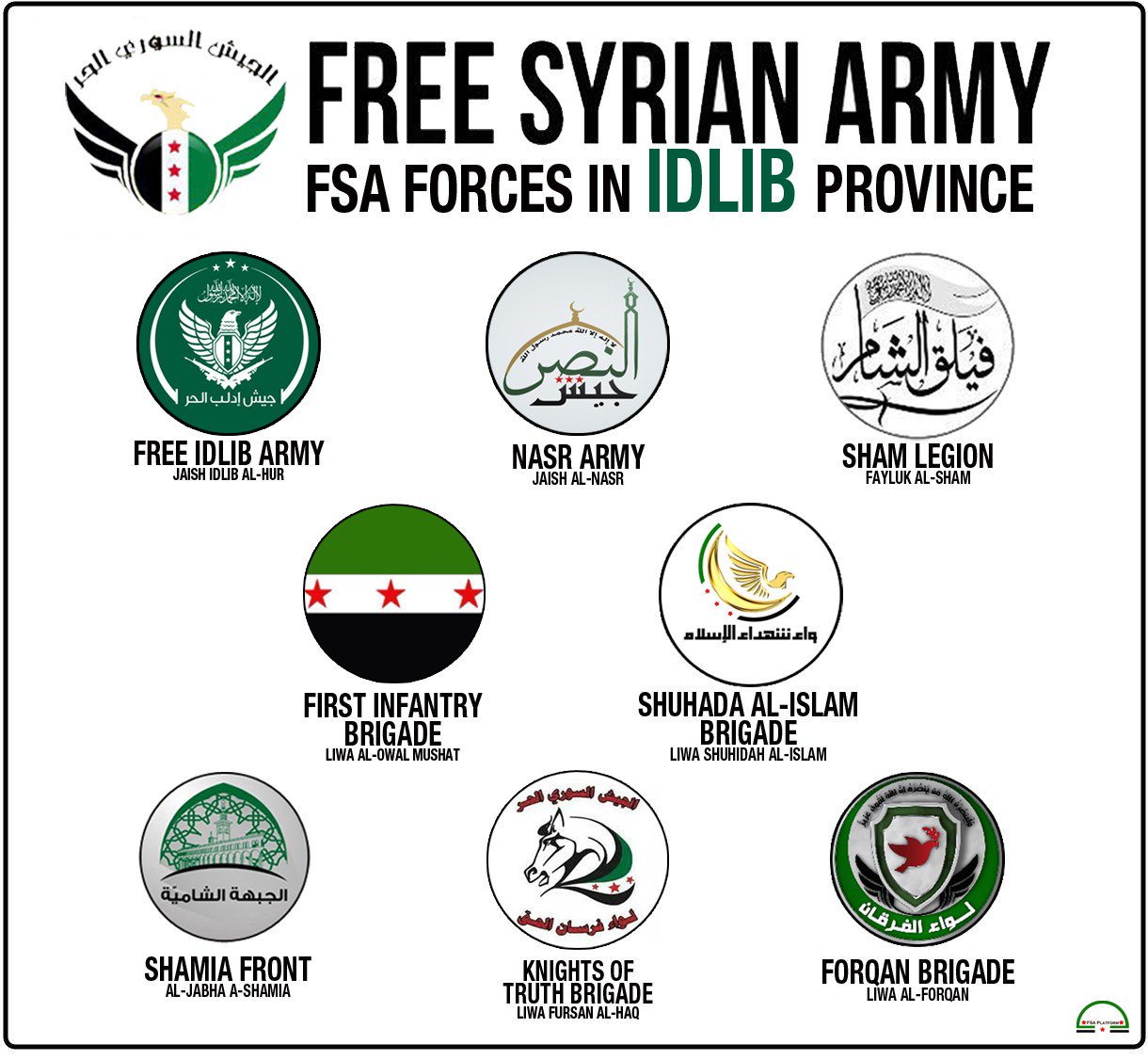 Fsa Syria Logo