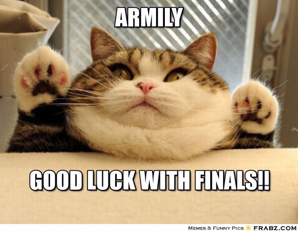 Good Luck On Finals Cat