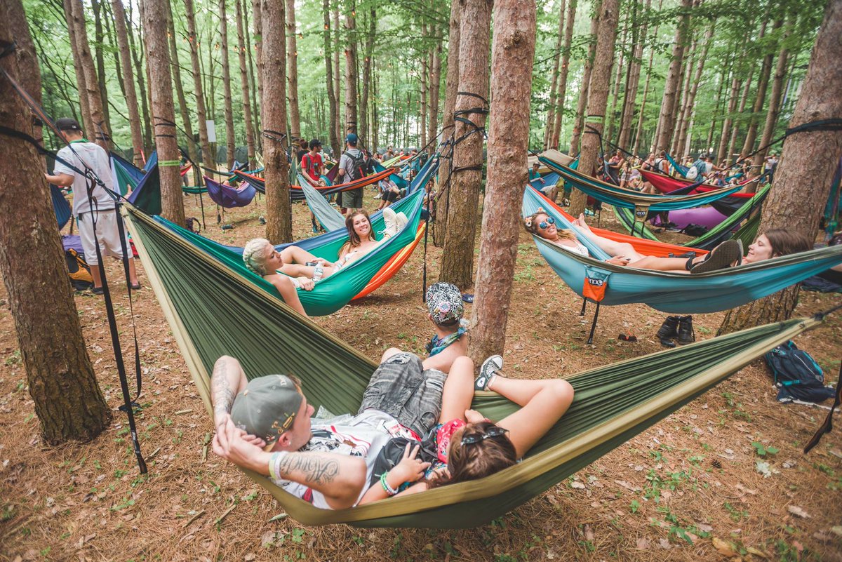 Electric Forest Hammock