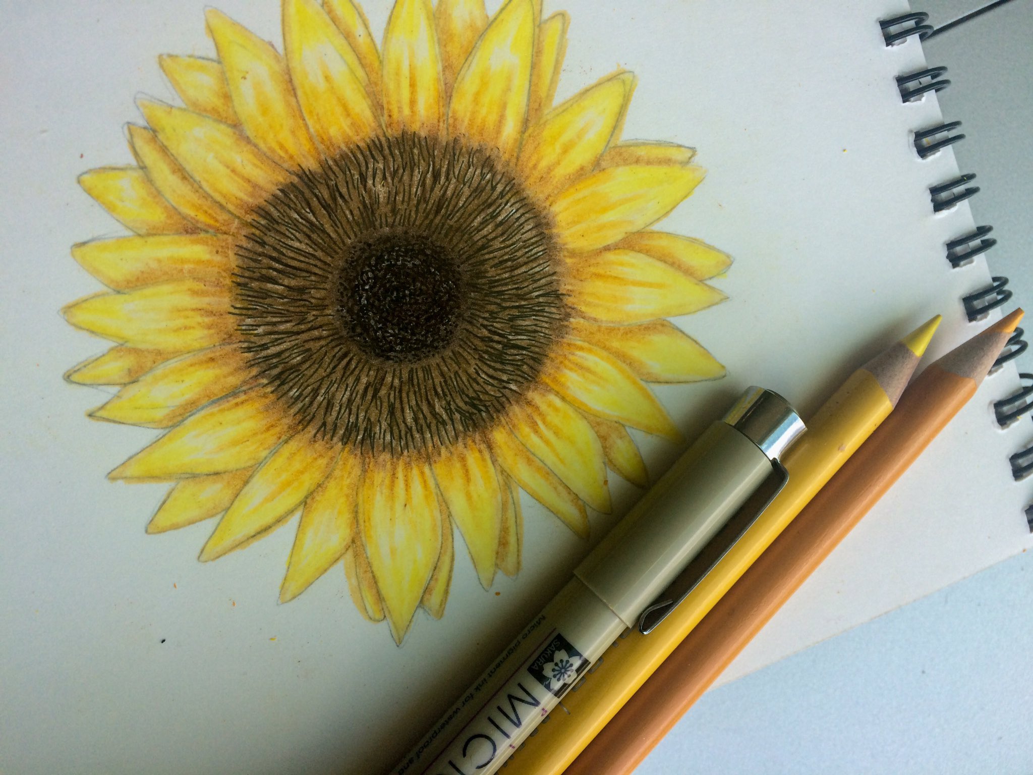 Colored Pencil Drawings Tumblr