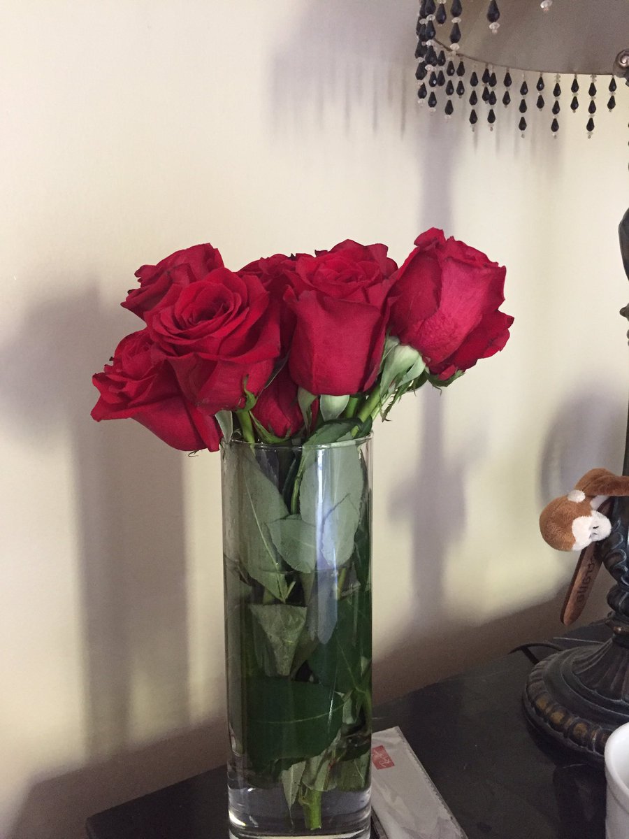 Brinkerhoff (@CariBrinkerhoff) | Twitter