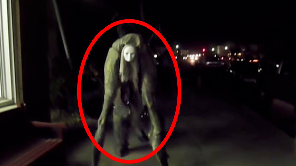 Mysterious Creatures That Were Really Spotted