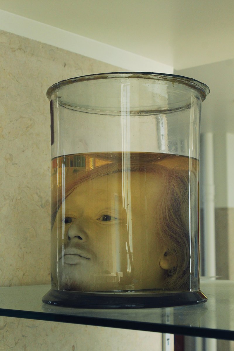Human Head In A Jar