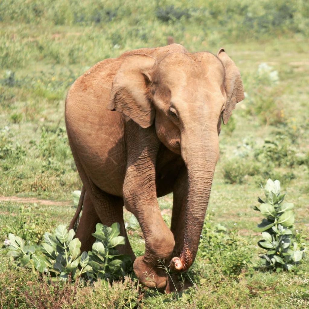 Luke Heron (@lukejd09) | Twitter