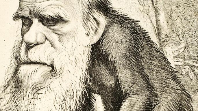 Why was charles darwin drawn as a monkey in a cartoon? this is the ...