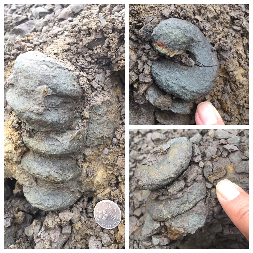 Can anyone identify what this is, and if it even is a fossil? (More ...