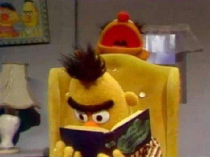 Bert Book Gif