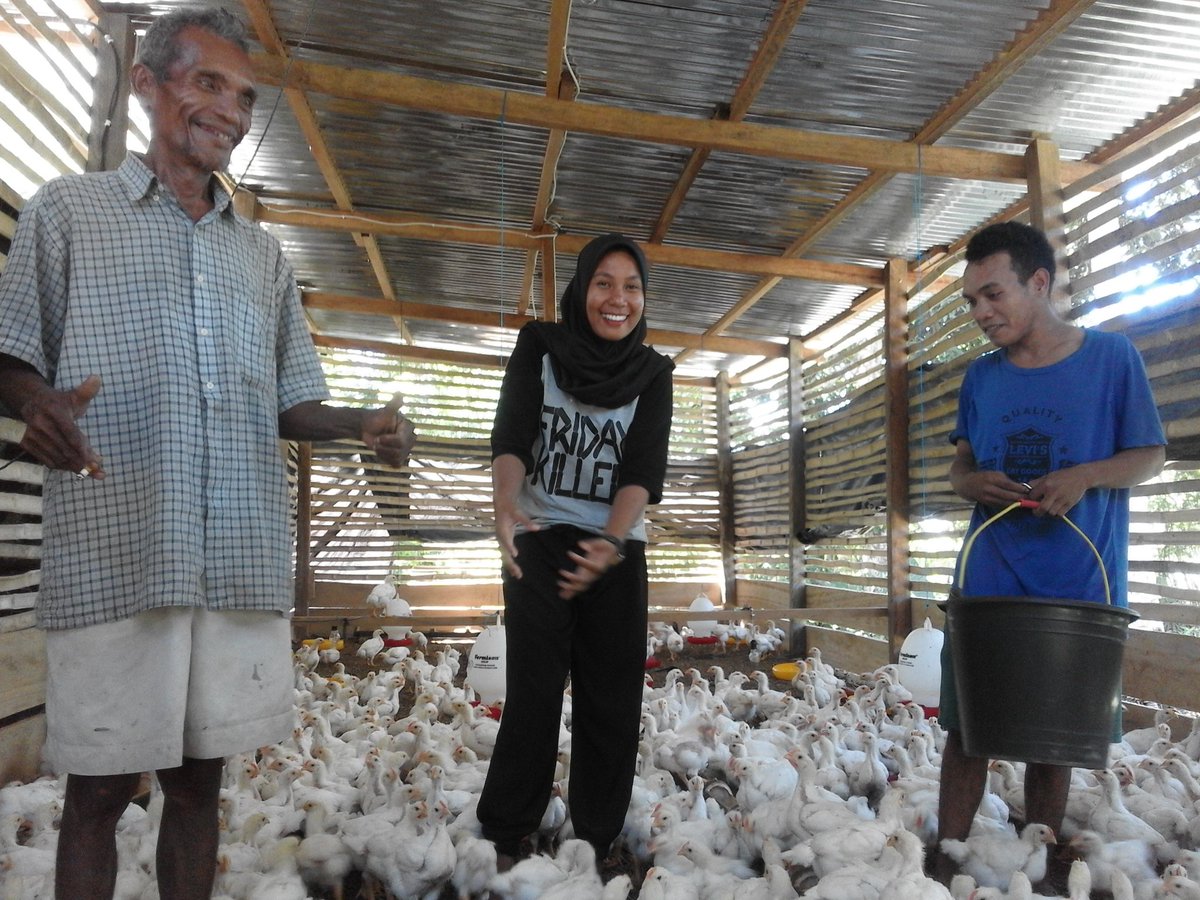 Insan Fataruba (@InsanFataruba) | Twitter