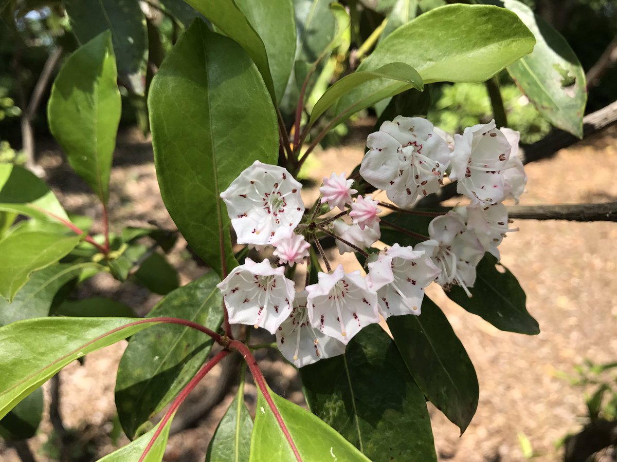 飛雄 (@kt_K_nrkr) | Twitter