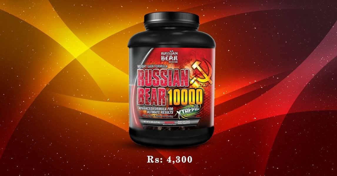Russian Bear Protein
