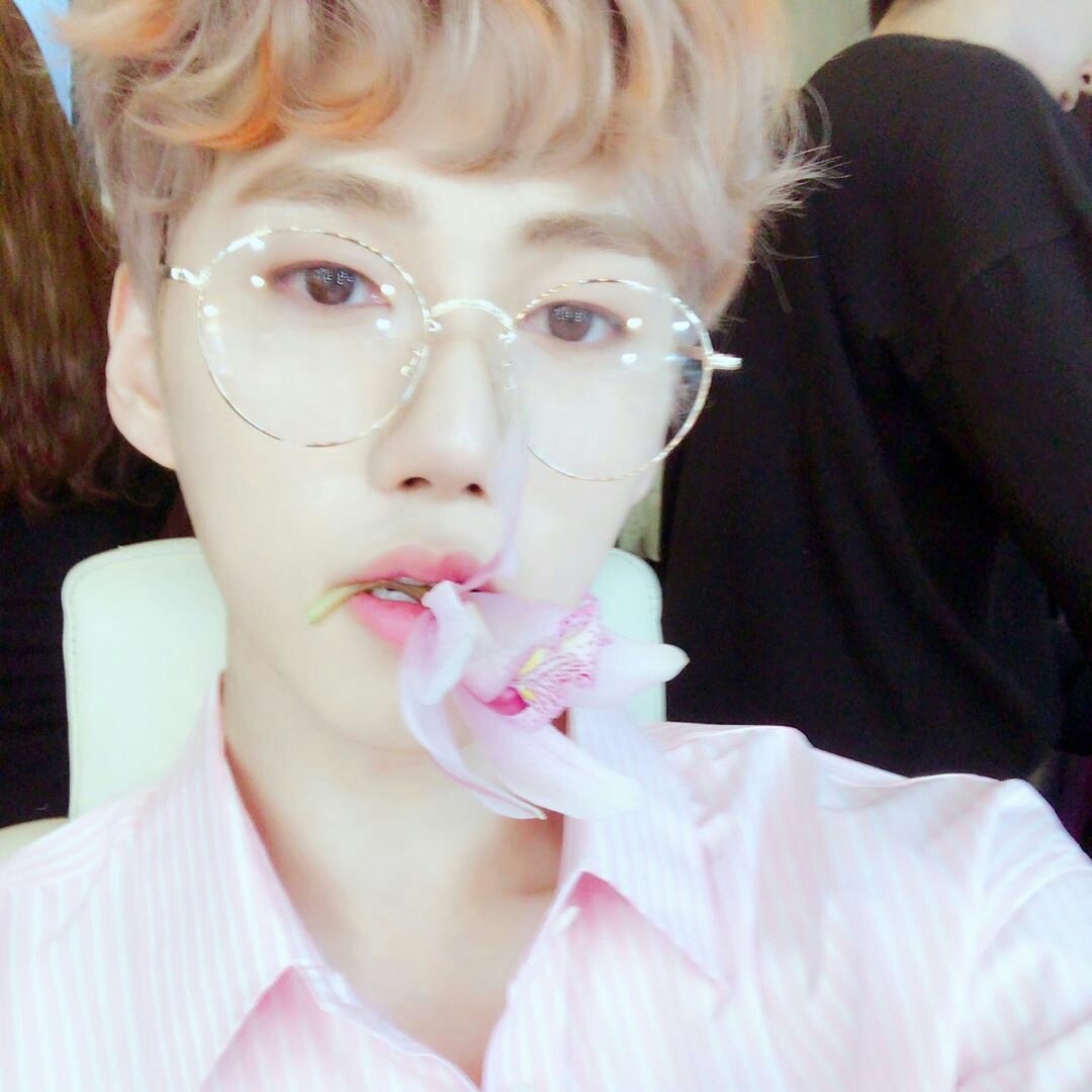 Resource - bbcode quickies | RpNation