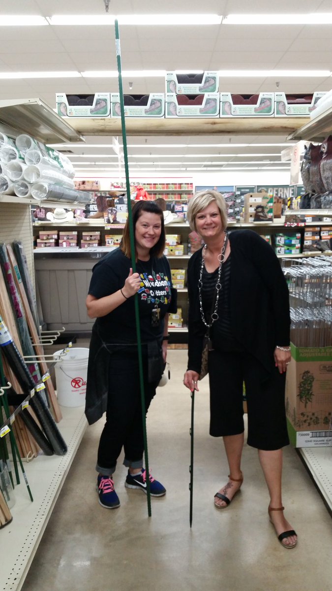 Amy Learn (@AmyLearn) | Twitter