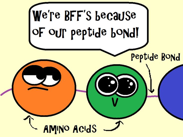Mitosis Cartoon Joke