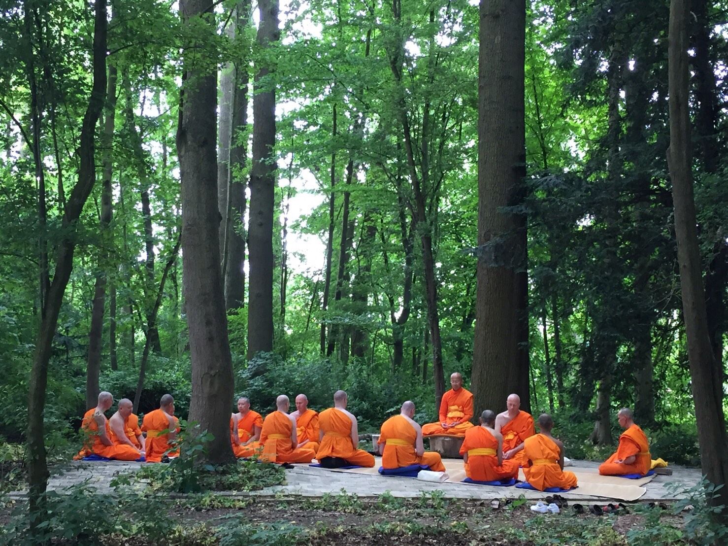 Buddhist Monks Meditation Forest