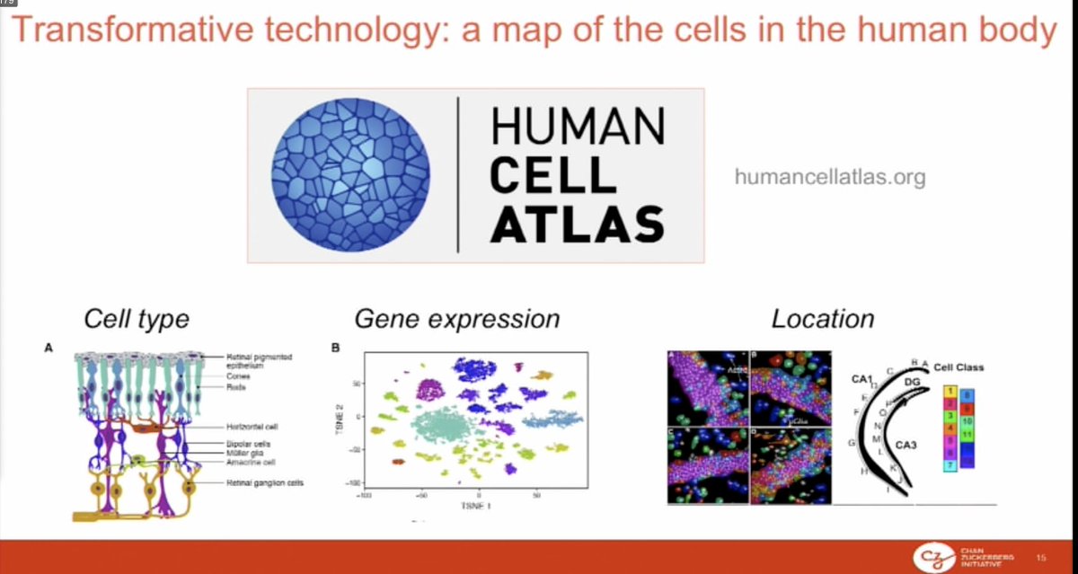 The human cell atlas being developed by the chan-zuckerberg initiative ...