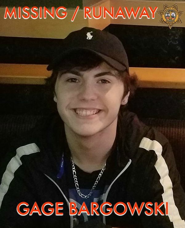 Berkeley Co. Sheriff's Office searching for runaway teen Gage Bargowski ...