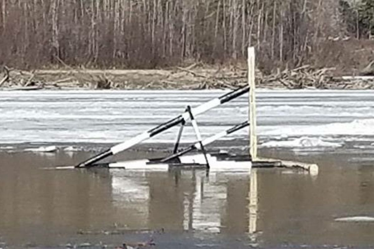 There were 42 winning entries in this year's Nenana Ice Classic -- here ...
