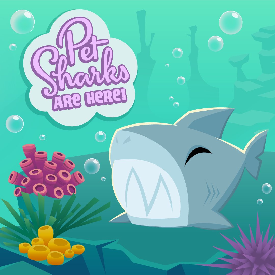 Pet Shark