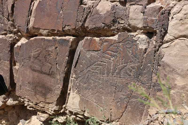 8 ancient rock paintings of horses, believed to date back to ...